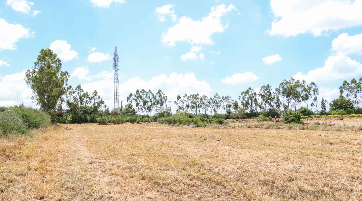 Acacia Phase 3 – SIC