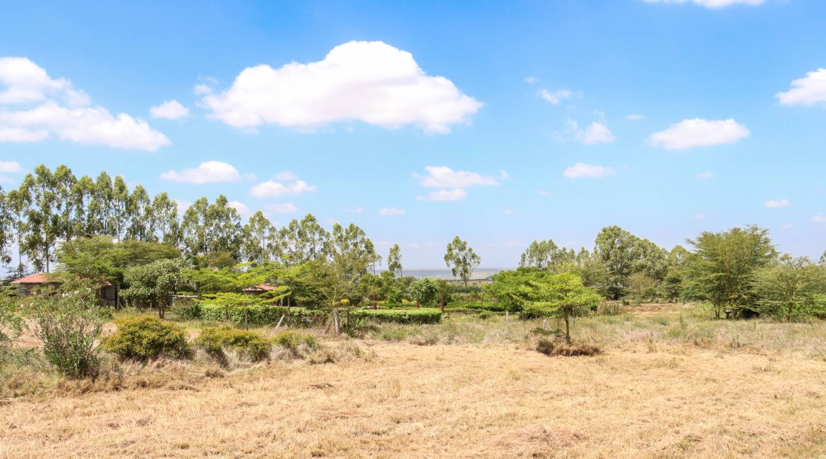 Acacia Phase 3 – SIC